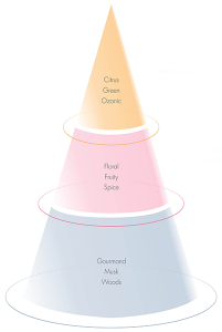 Fragrance Pyramid & Scent Notes - Fragrance 101 | Scentsy Blog