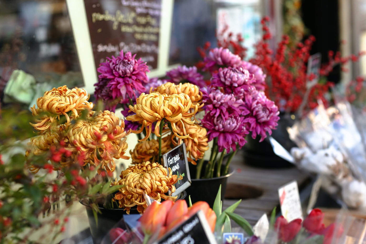 Discover the Science of Scent Memory | Scentsy Blog