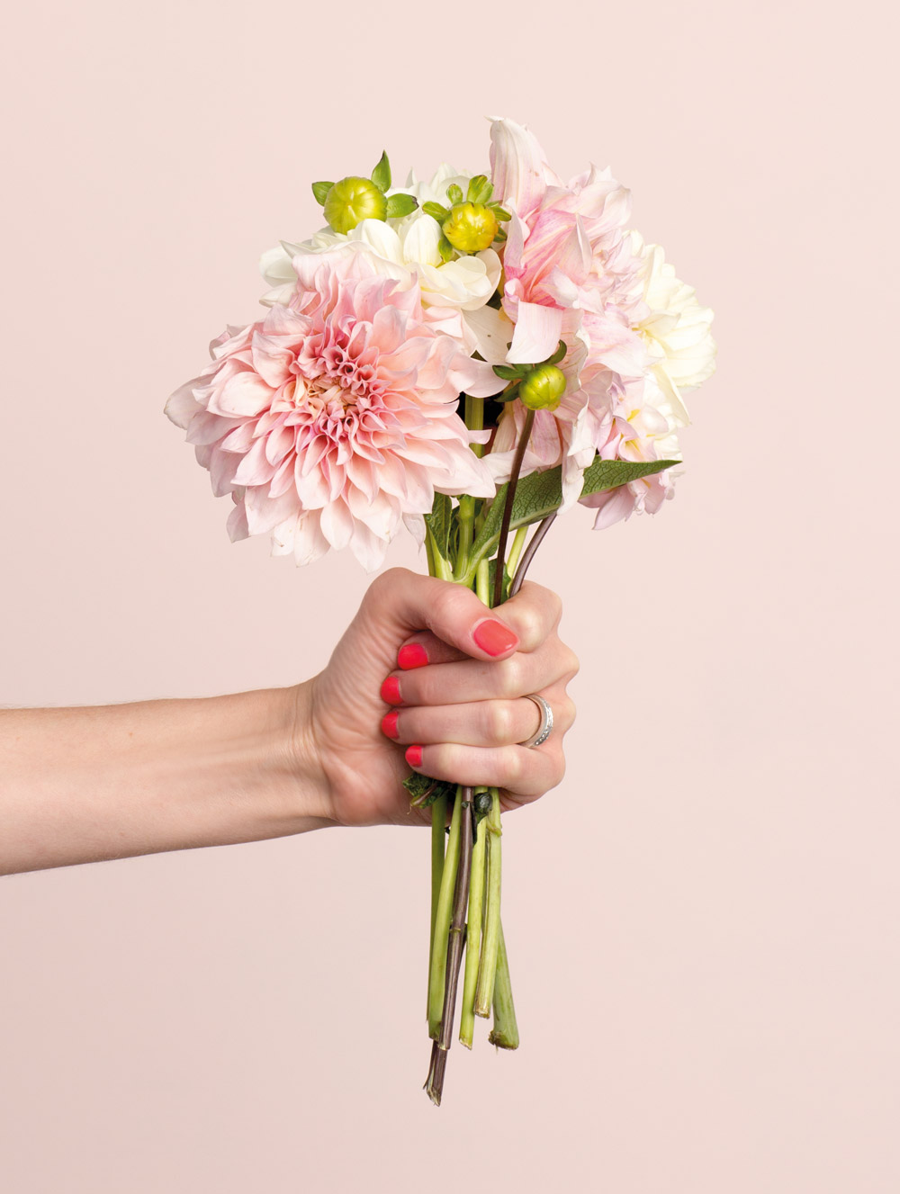 Why are we so in love with floral fragrances? | Scentsy Blog