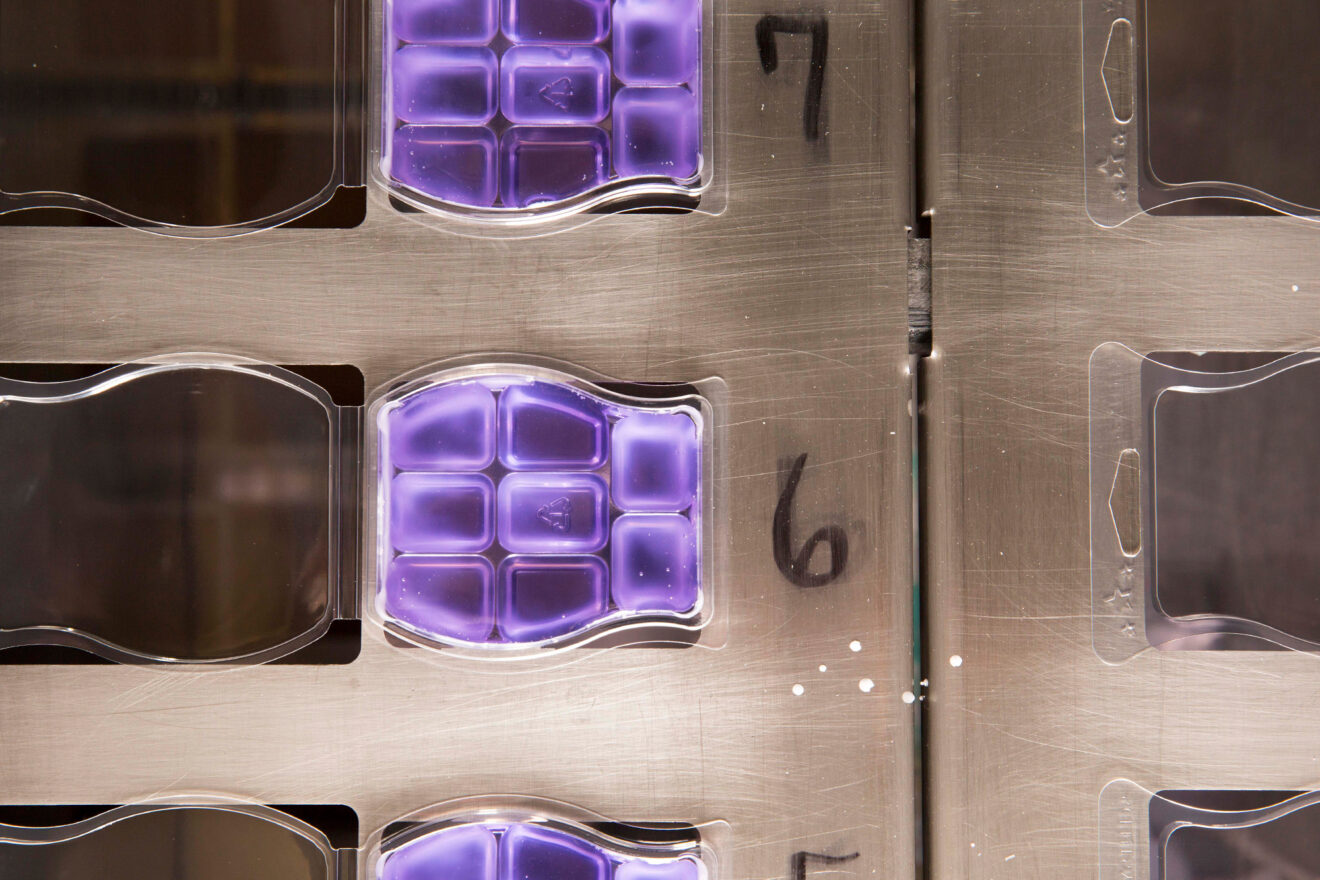 Answering Top Questions About Scentsy Wax Bars & Fragrance | Scentsy Blog