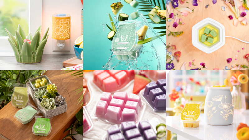 The best way to use and change Scentsy Bars | Scentsy Blog
