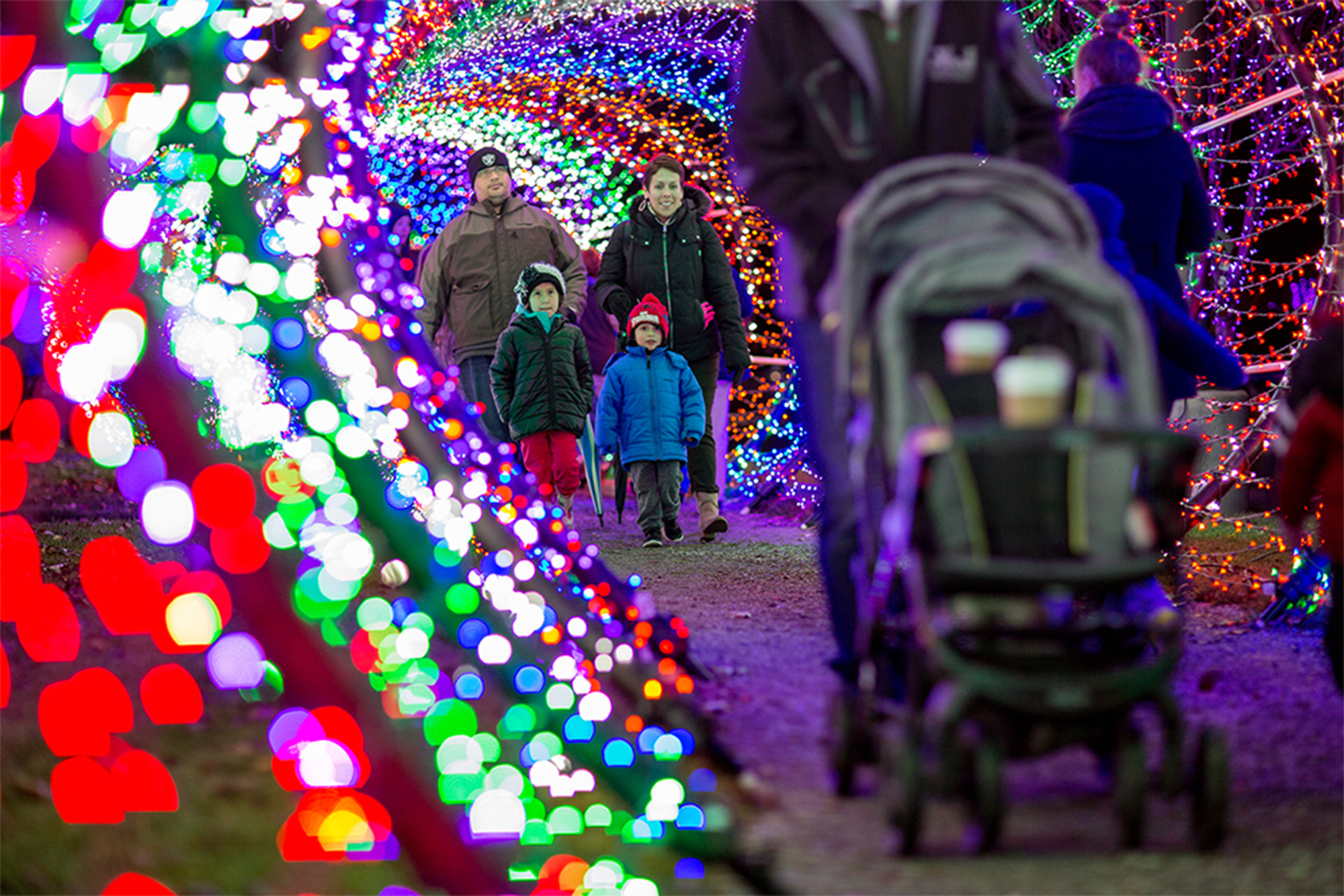 Scentsy Holiday Light Display | Scentsy Blog