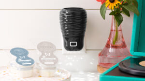 Everything you need to know about Scentsy fan diffusers | Scentsy Blog