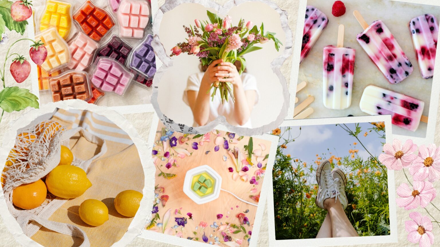 Scentsy scent recipes: Mix and match your own summer wax melts ...