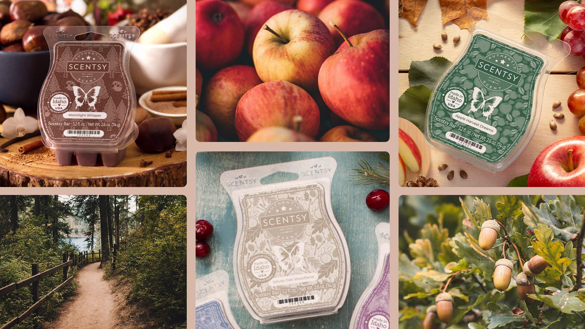 The season's coziest fall scent trends for 2025